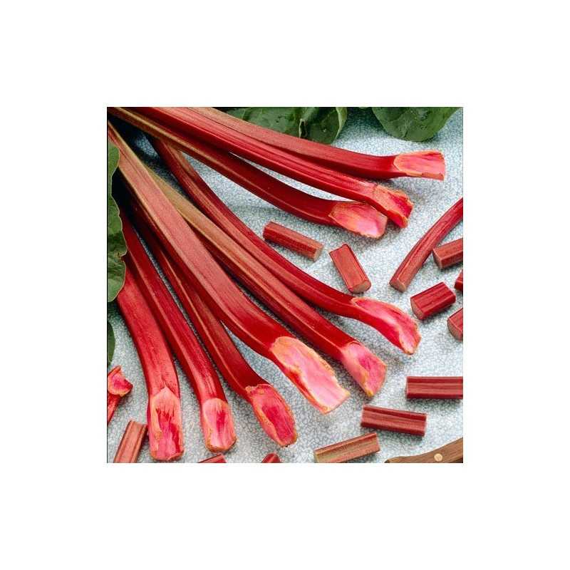 daržoves internetu i namus