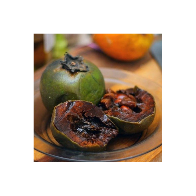 Retų ir egzotinių augalų prekyba internetu ir pristatymas į namus ...